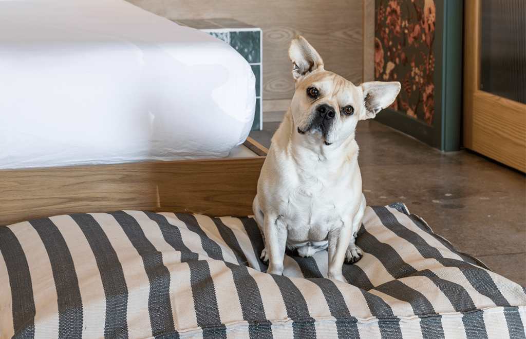 Explore - Best Bet Motor Lodge